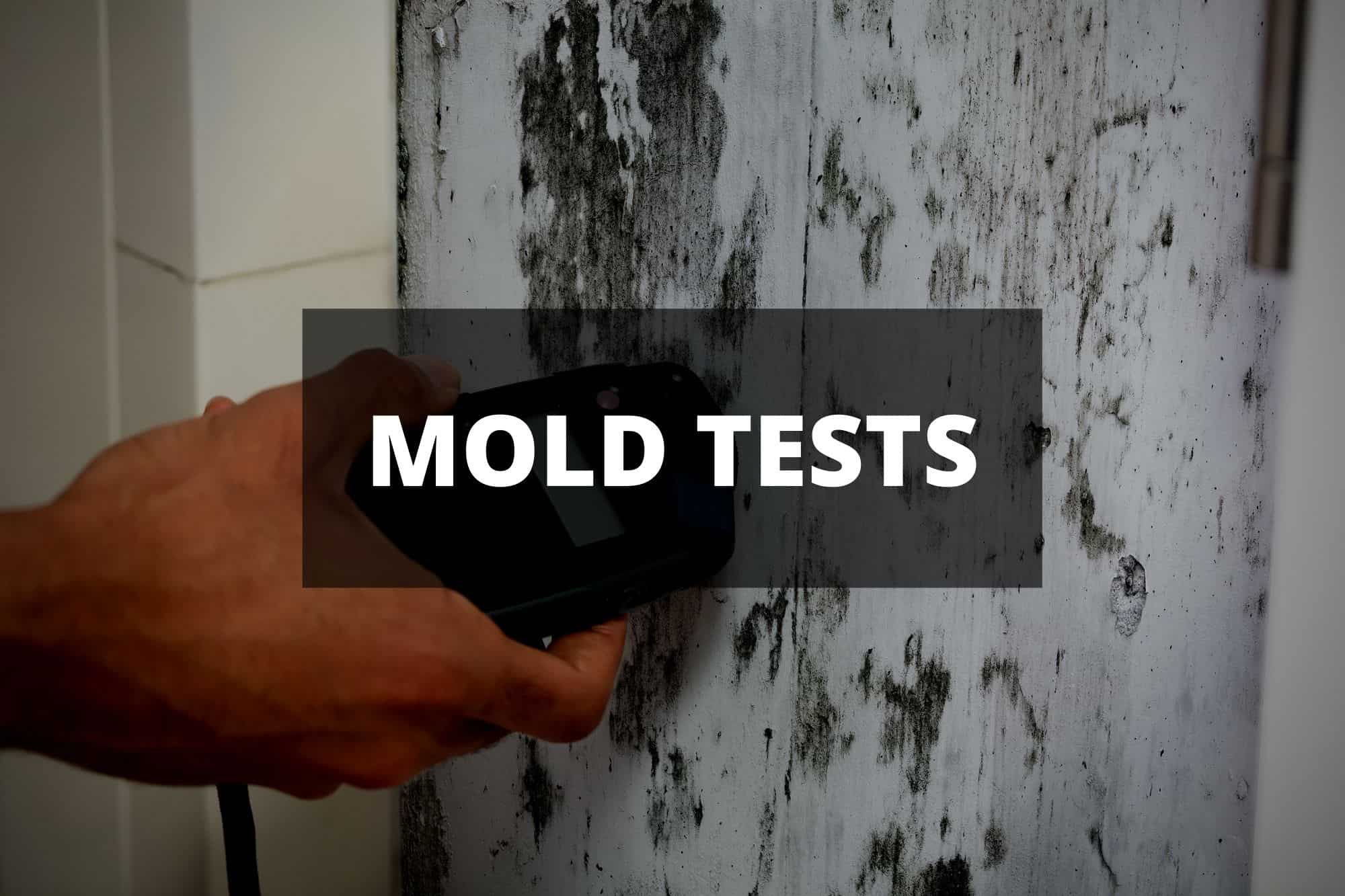 Detect and Protect: The Essential Guide to Mold Exposure Testing ...